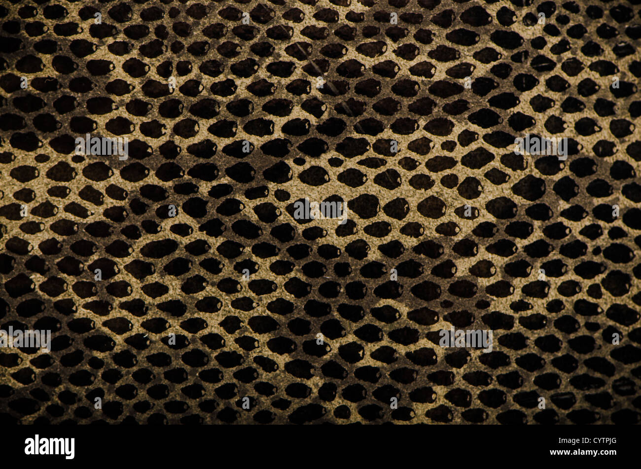 Closeup of snake Skin Leather Texture Stock Photo - Alamy