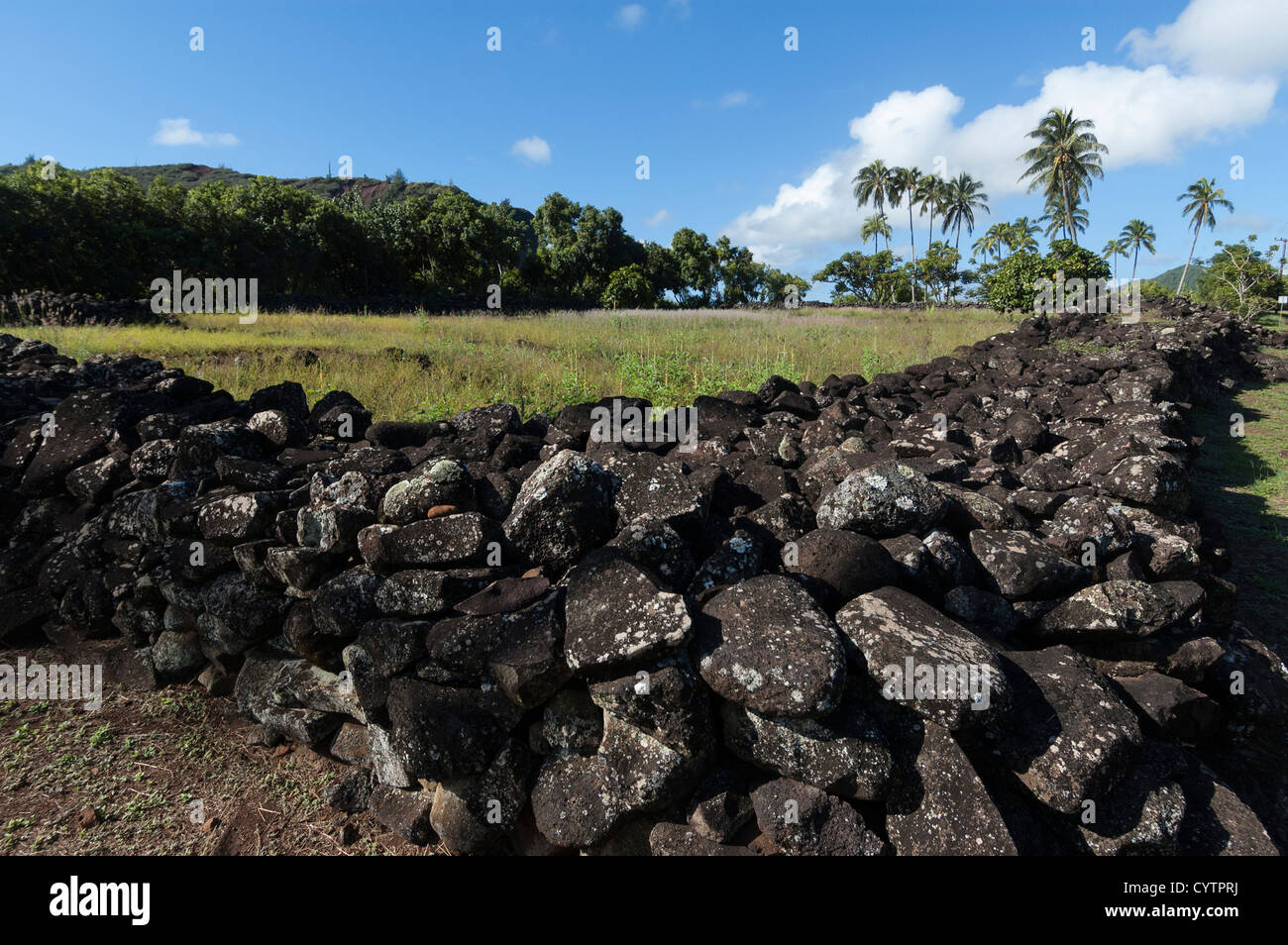 Hawaiian lava wall hi-res stock photography and images - Alamy