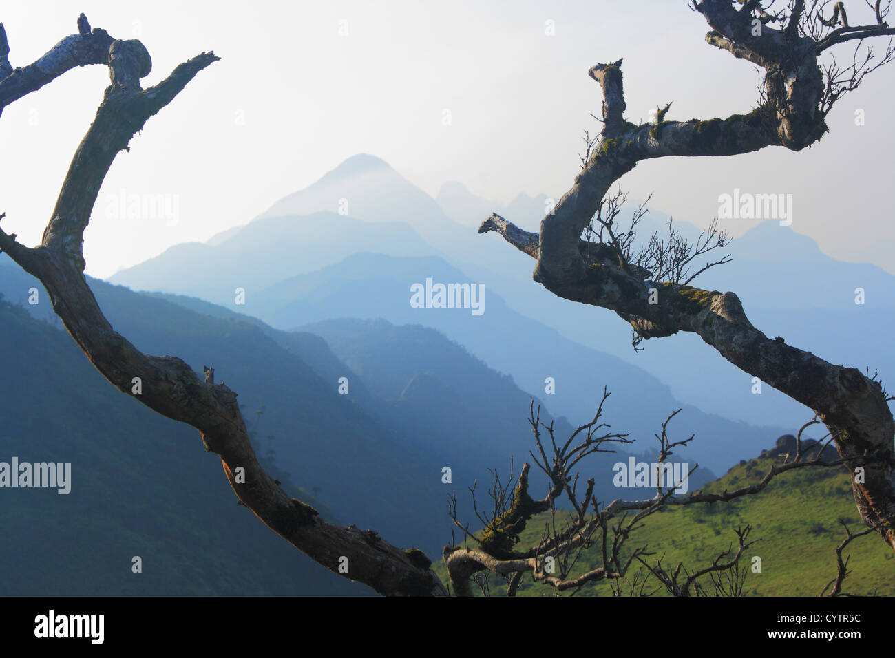 agasthiar, koodam, western Ghats, Sahyādri, Kerala, India Stock Photo ...