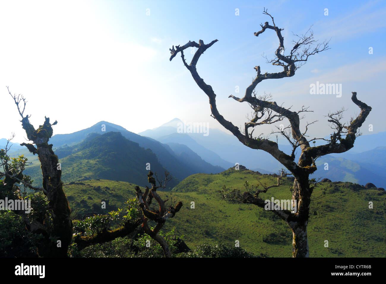 agasthiar, koodam, western Ghats, Sahyādri, Kerala, India Stock Photo ...