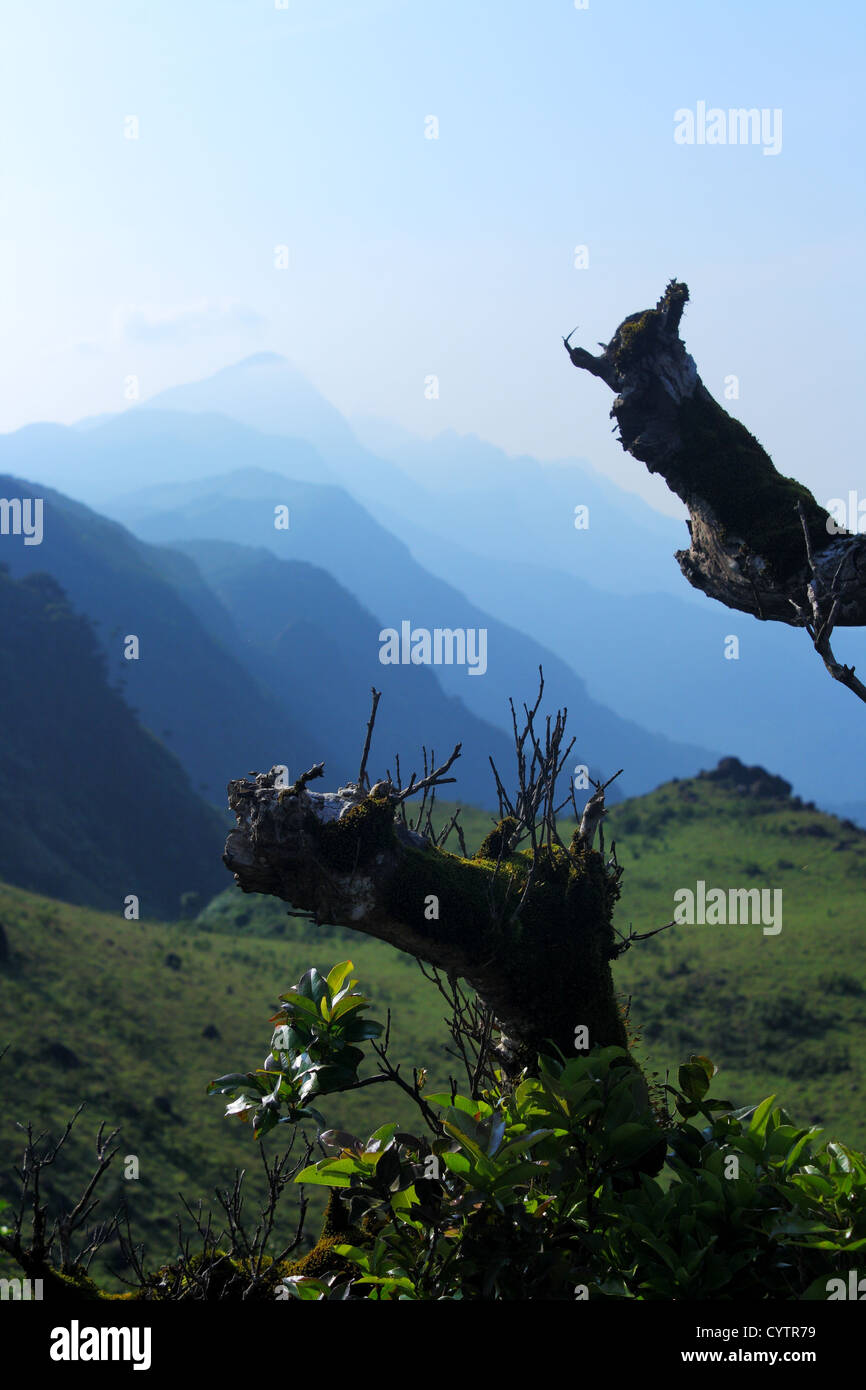 Agasthiar western ghats sahyadri kerala hi-res stock photography and ...