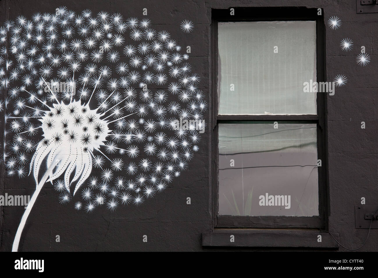 Street graffiti art around Melbourne window in Fitzroy of the passing ...