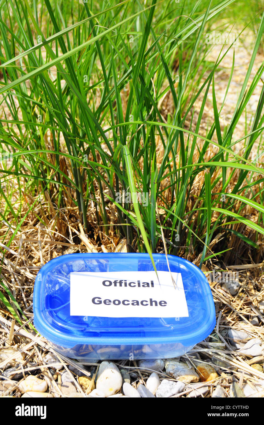 geocaching concept with blue geocache box showing outdoor sports ...