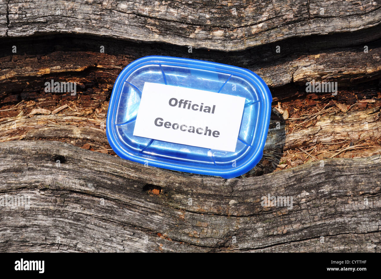 geocaching concept with cache box in nature Stock Photo - Alamy