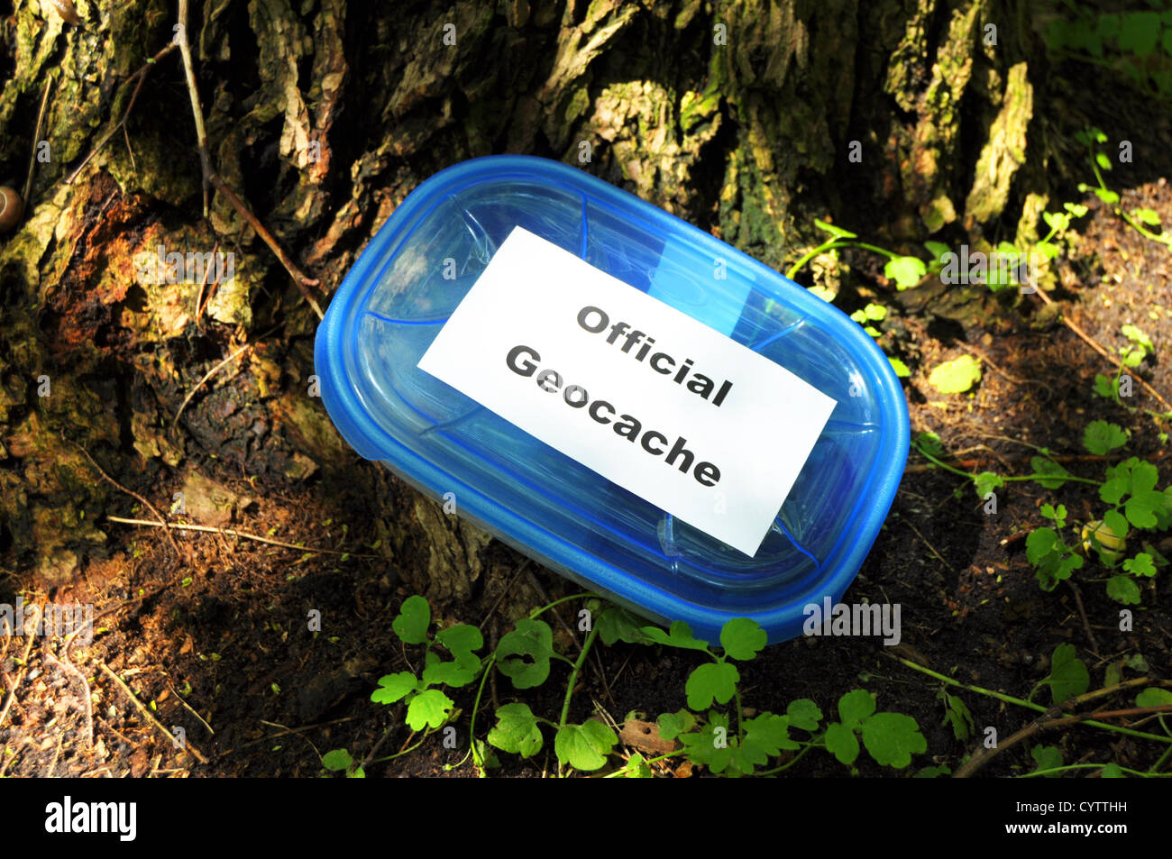 geocaching concept with cache box in nature Stock Photo - Alamy