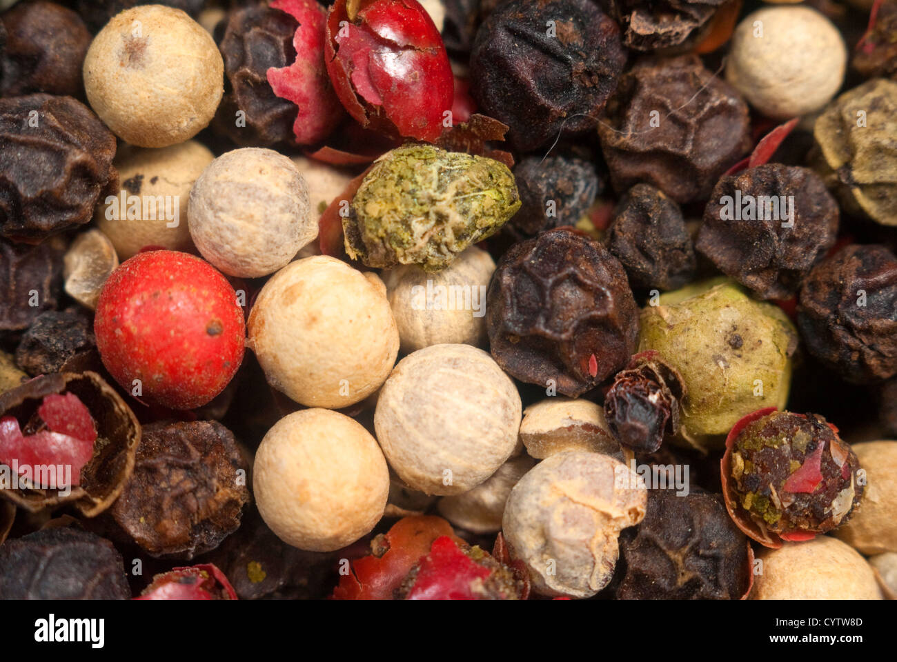 a pepper is poured by an even layer Stock Photo - Alamy