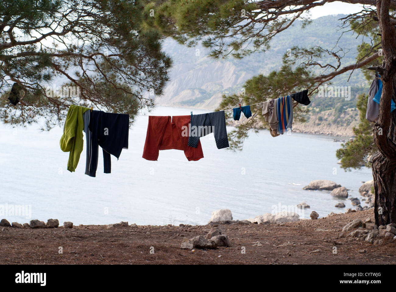 clothes hang on a tree Stock Photo - Alamy