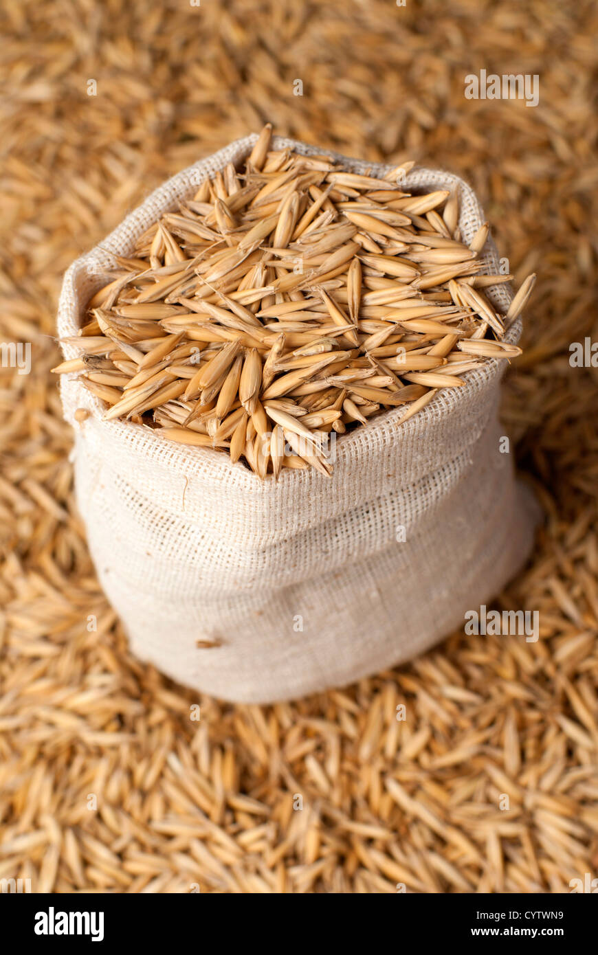 oat in sac Stock Photo - Alamy