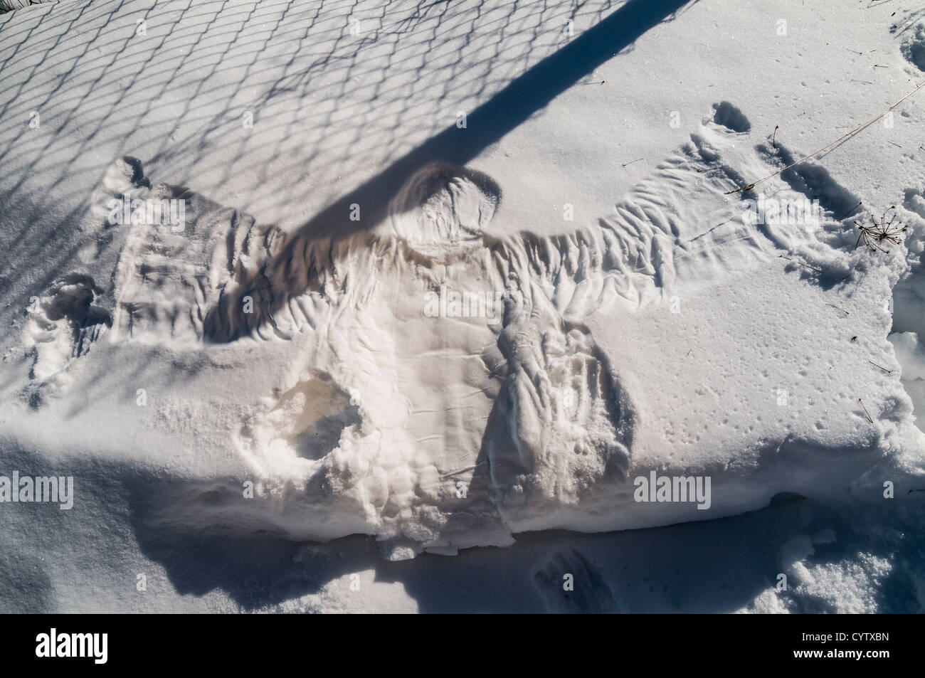 Trace of a flying person angel in snow Stock Photo - Alamy