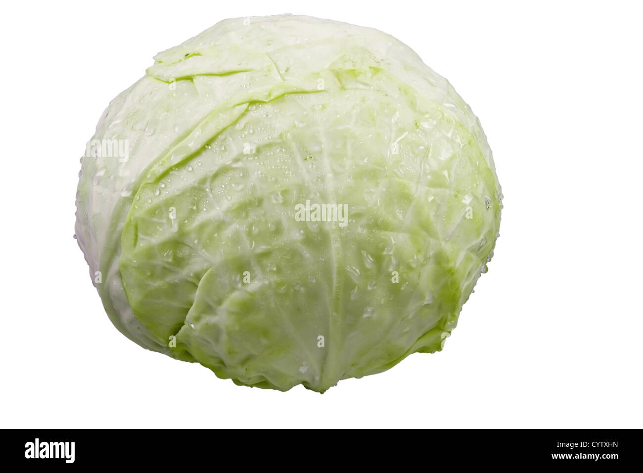 cabbage isolated on white background Stock Photo - Alamy