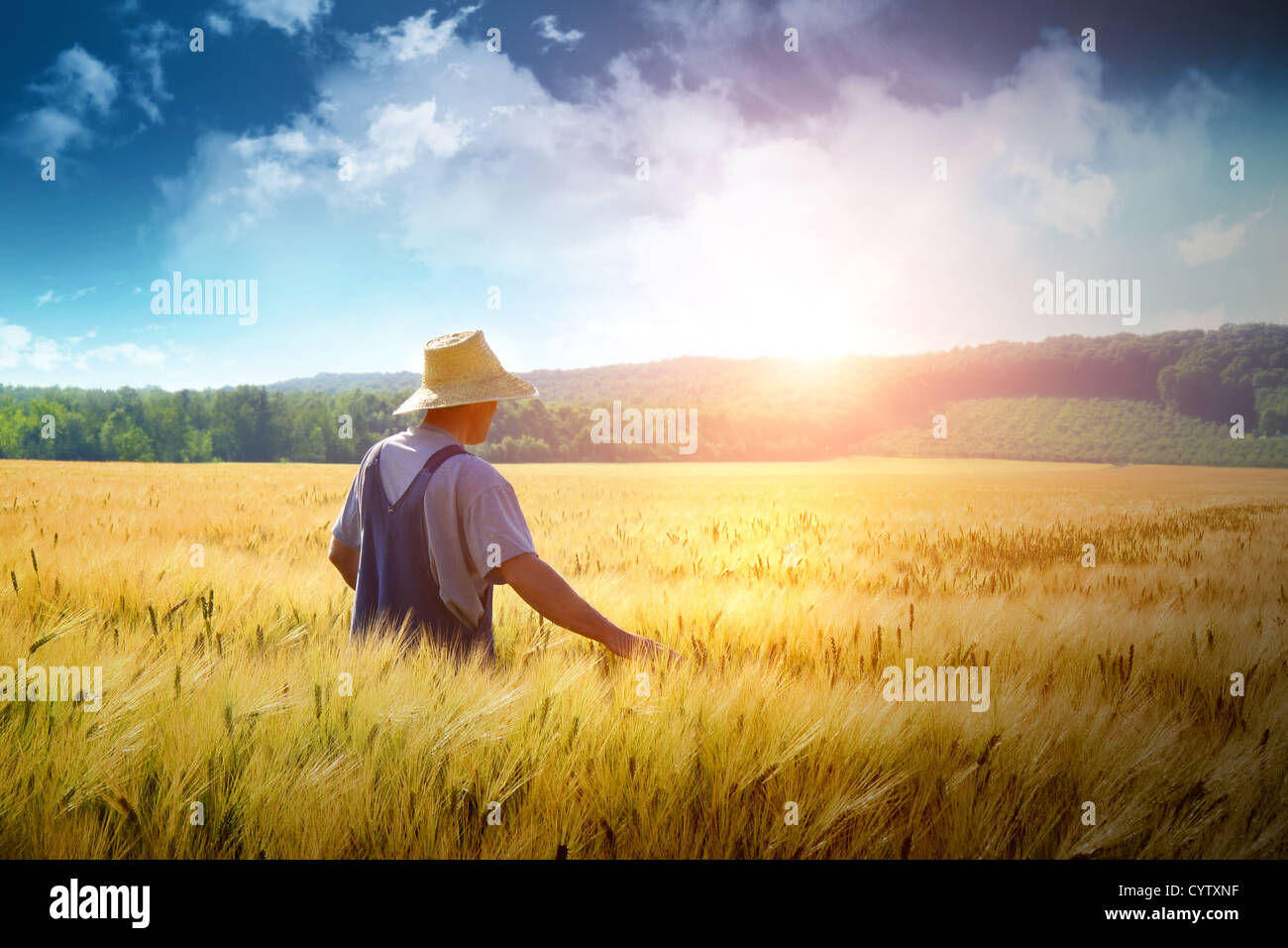Agriculture farmer walking through field hi-res stock photography and ...
