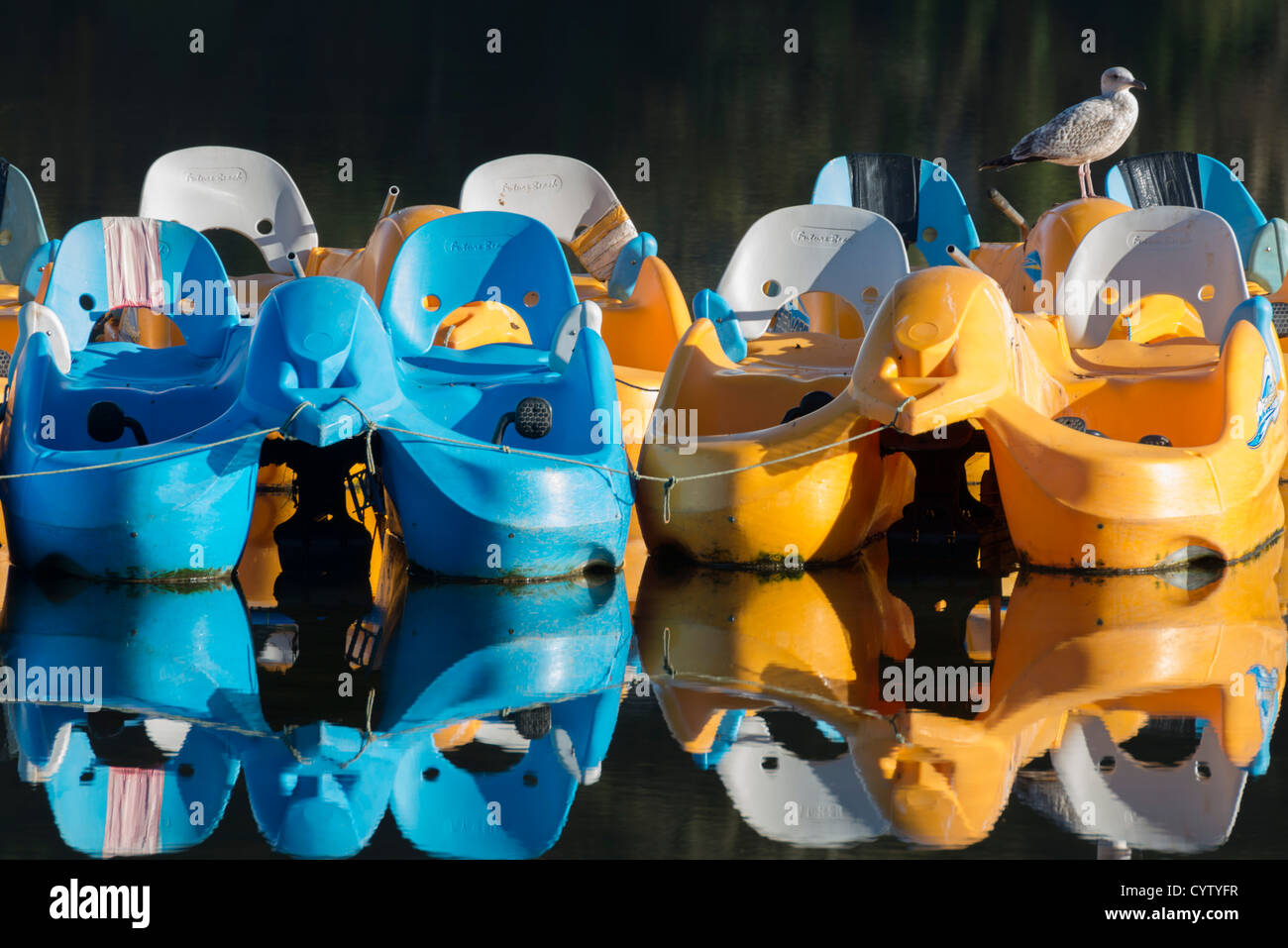 Pedal boats hi-res stock photography and images - Alamy