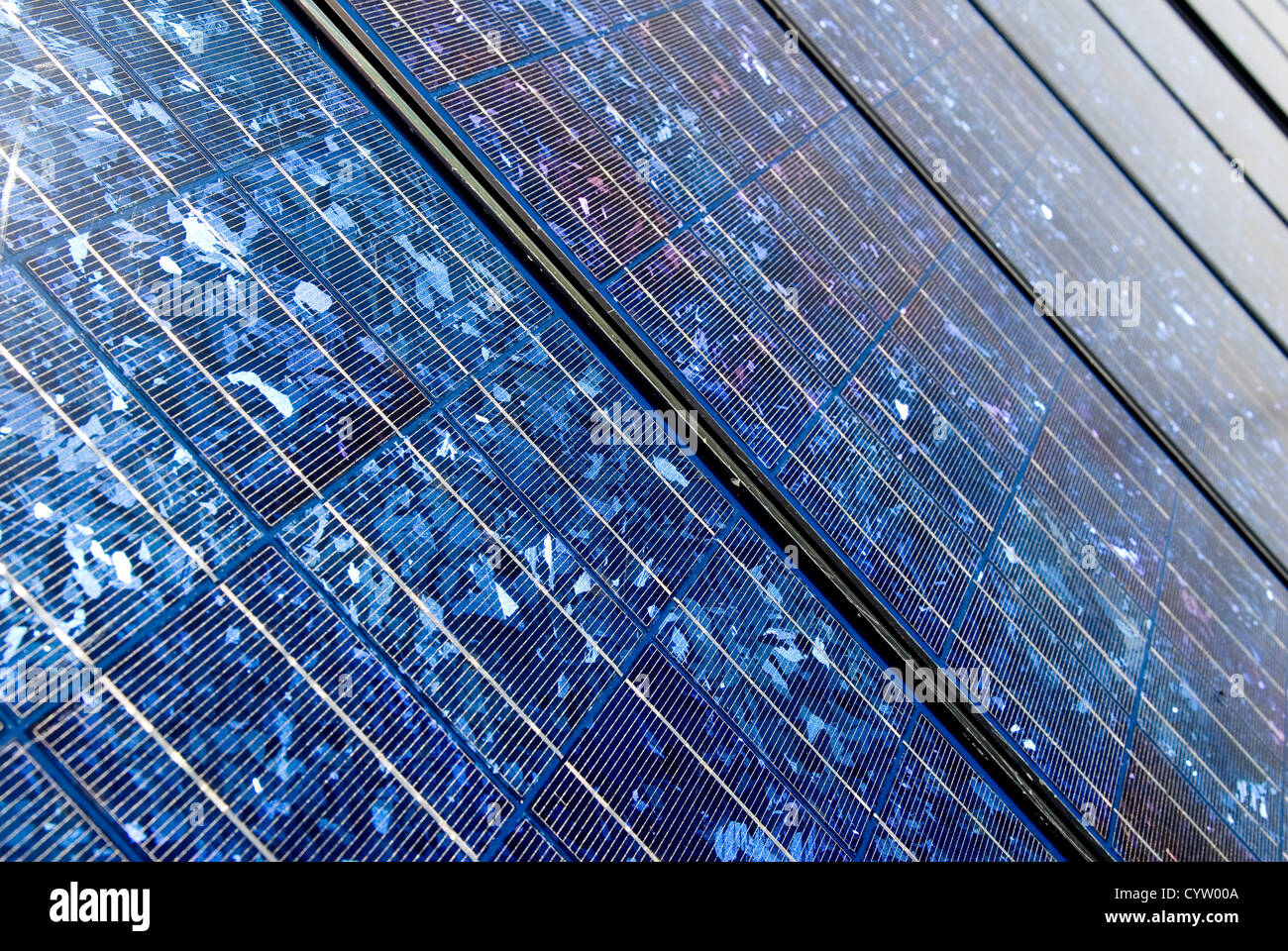 Here are the solar board - the natural power Stock Photo - Alamy
