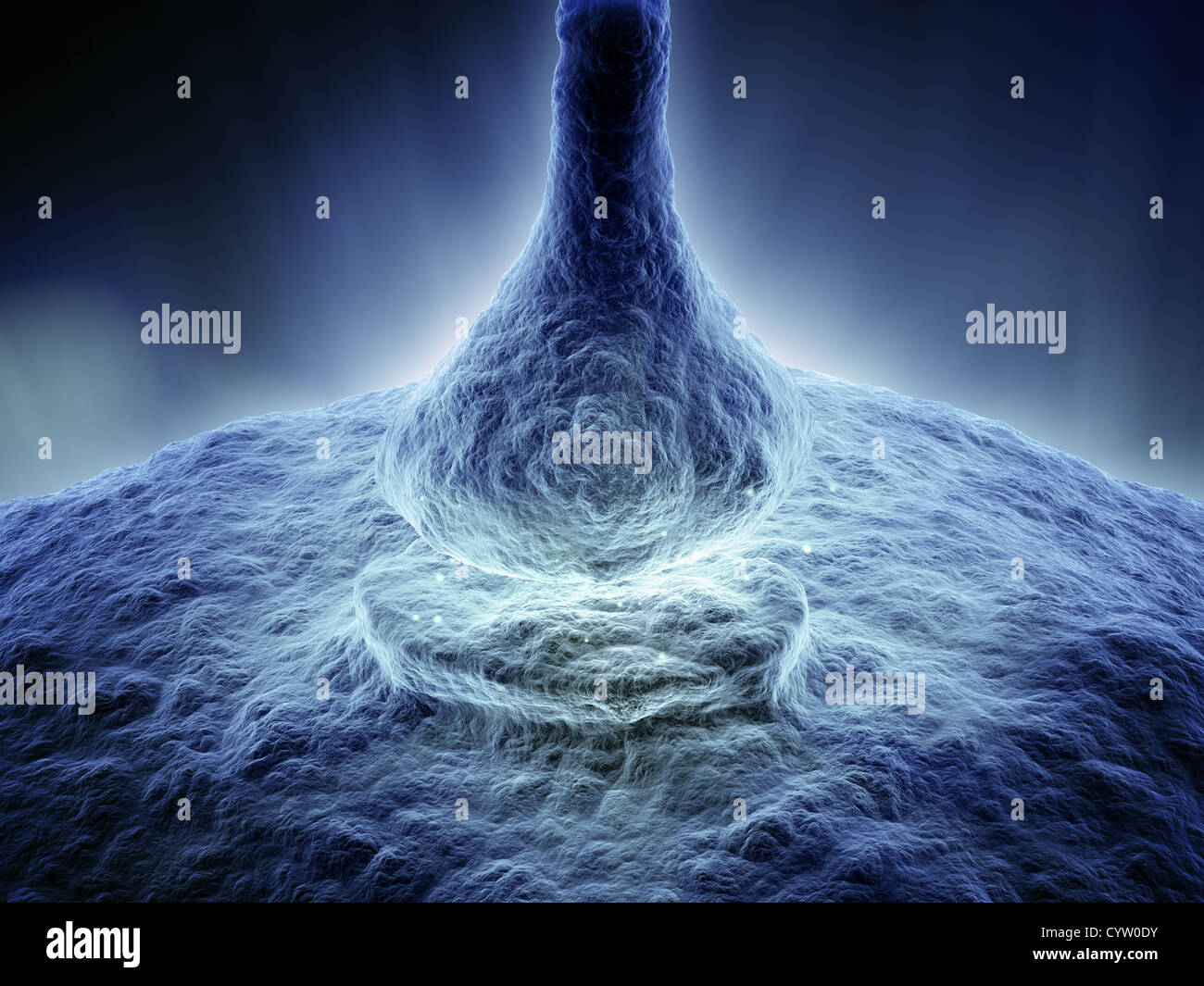 3d illustration of a dendrite Stock Photo - Alamy