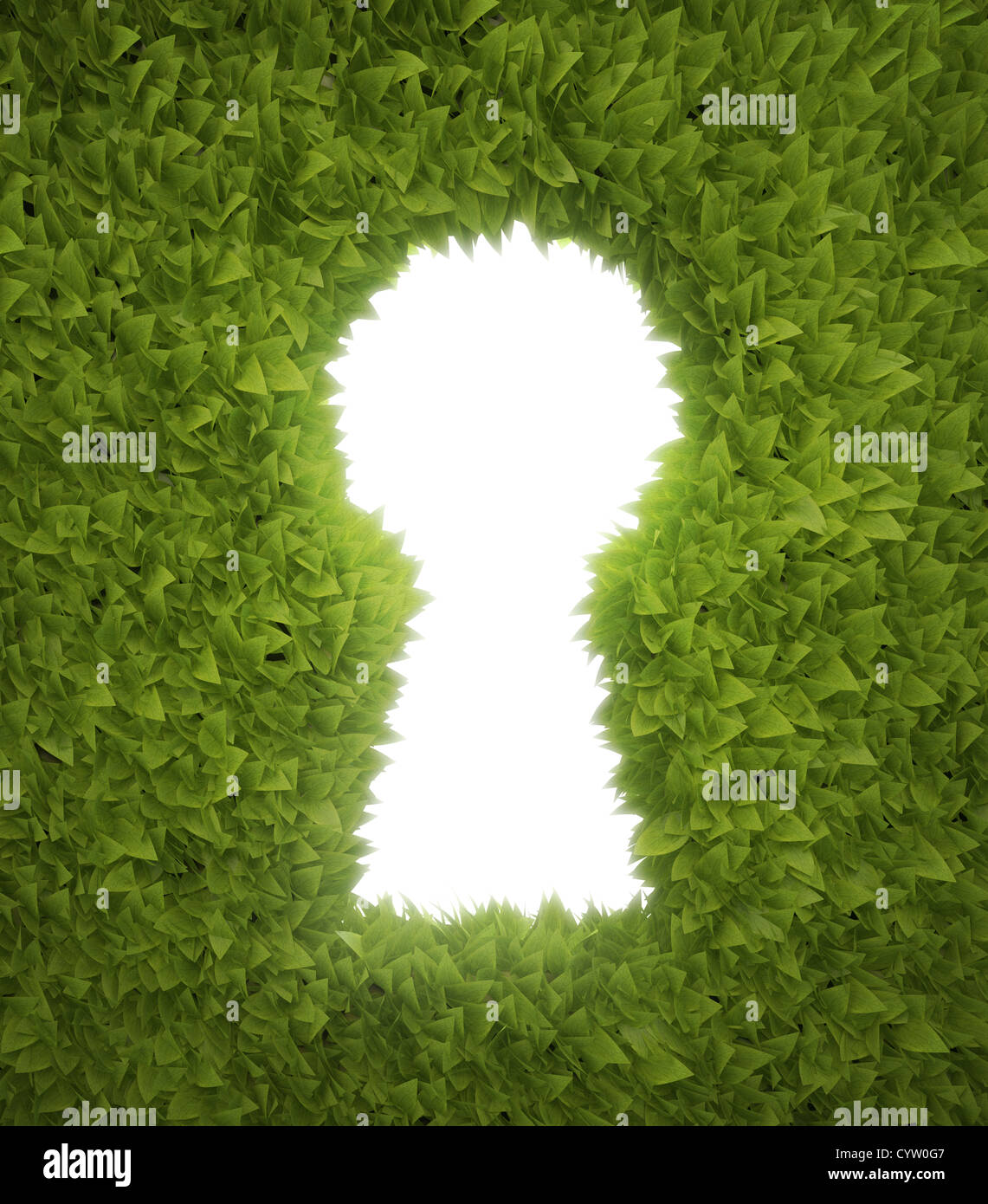 Green hedge opening shaped like a keyhole Stock Photo - Alamy