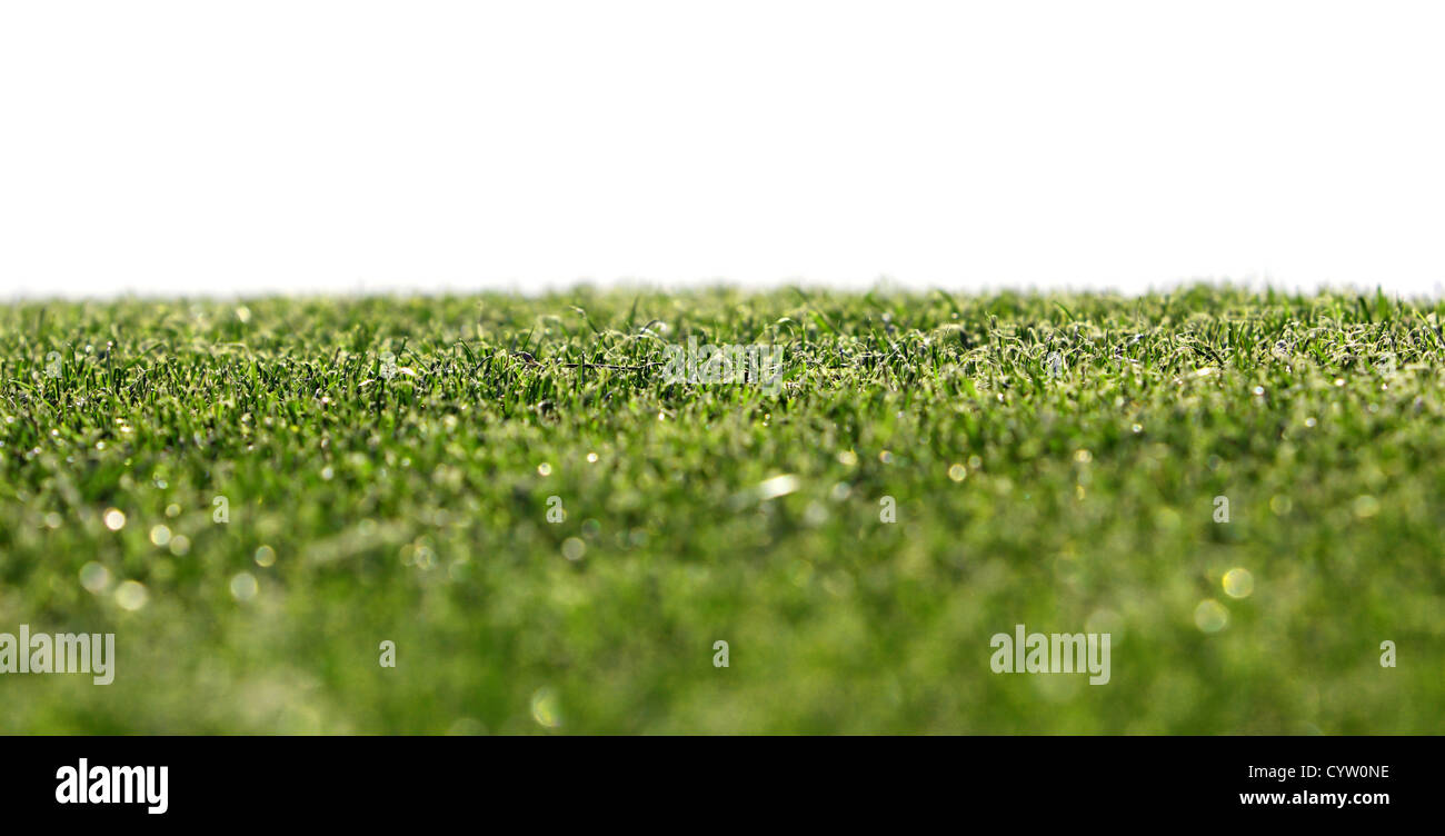 Golf green grass texture close up hi-res stock photography and images ...