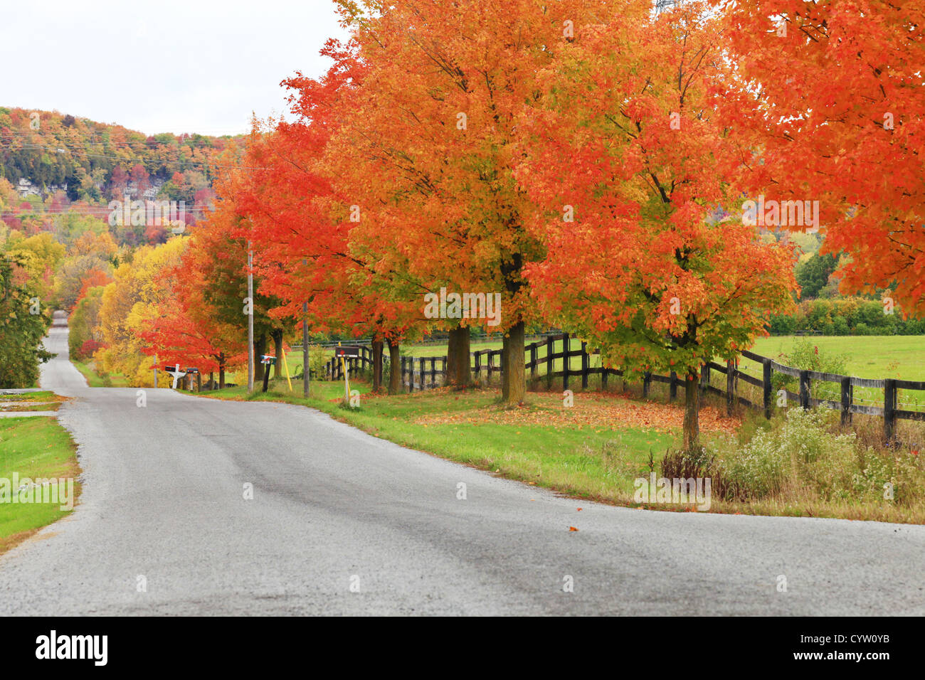 Canadian rural landscape in autumn colors Stock Photo - Alamy