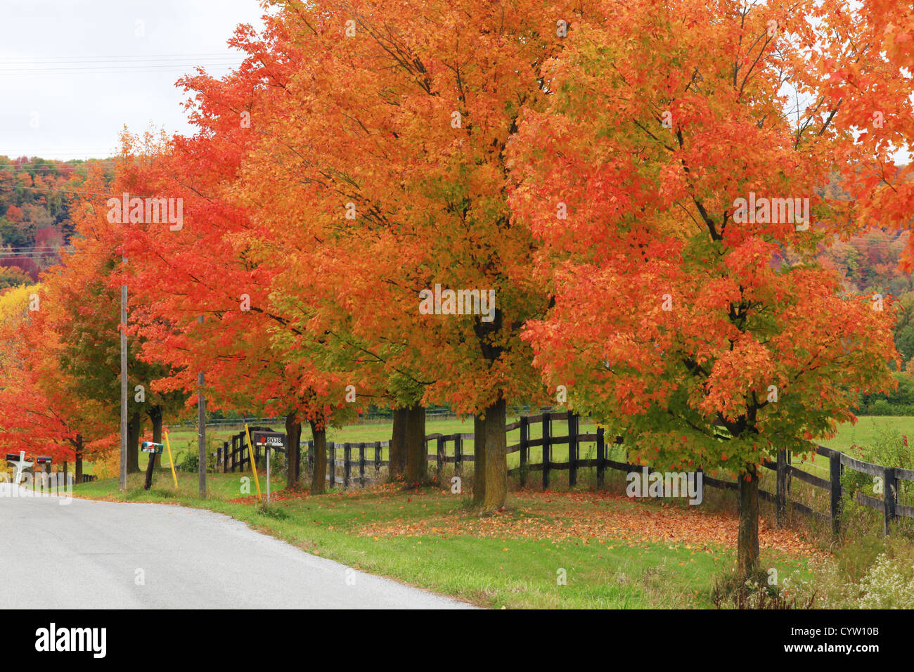 Canadian rural landscape in autumn colors Stock Photo - Alamy