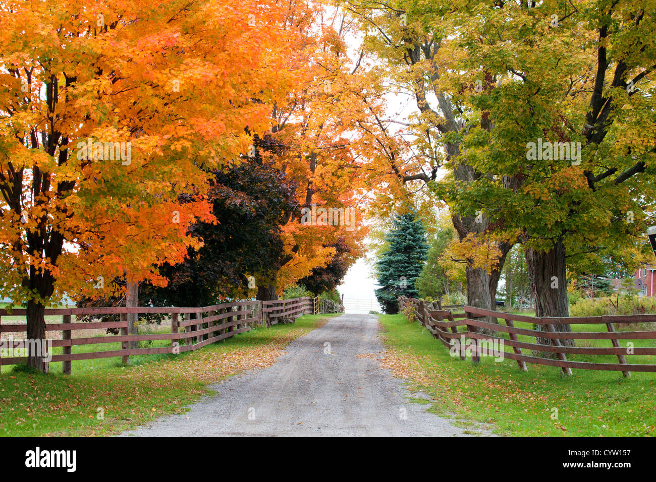 Ontario canada landscape hi-res stock photography and images - Alamy