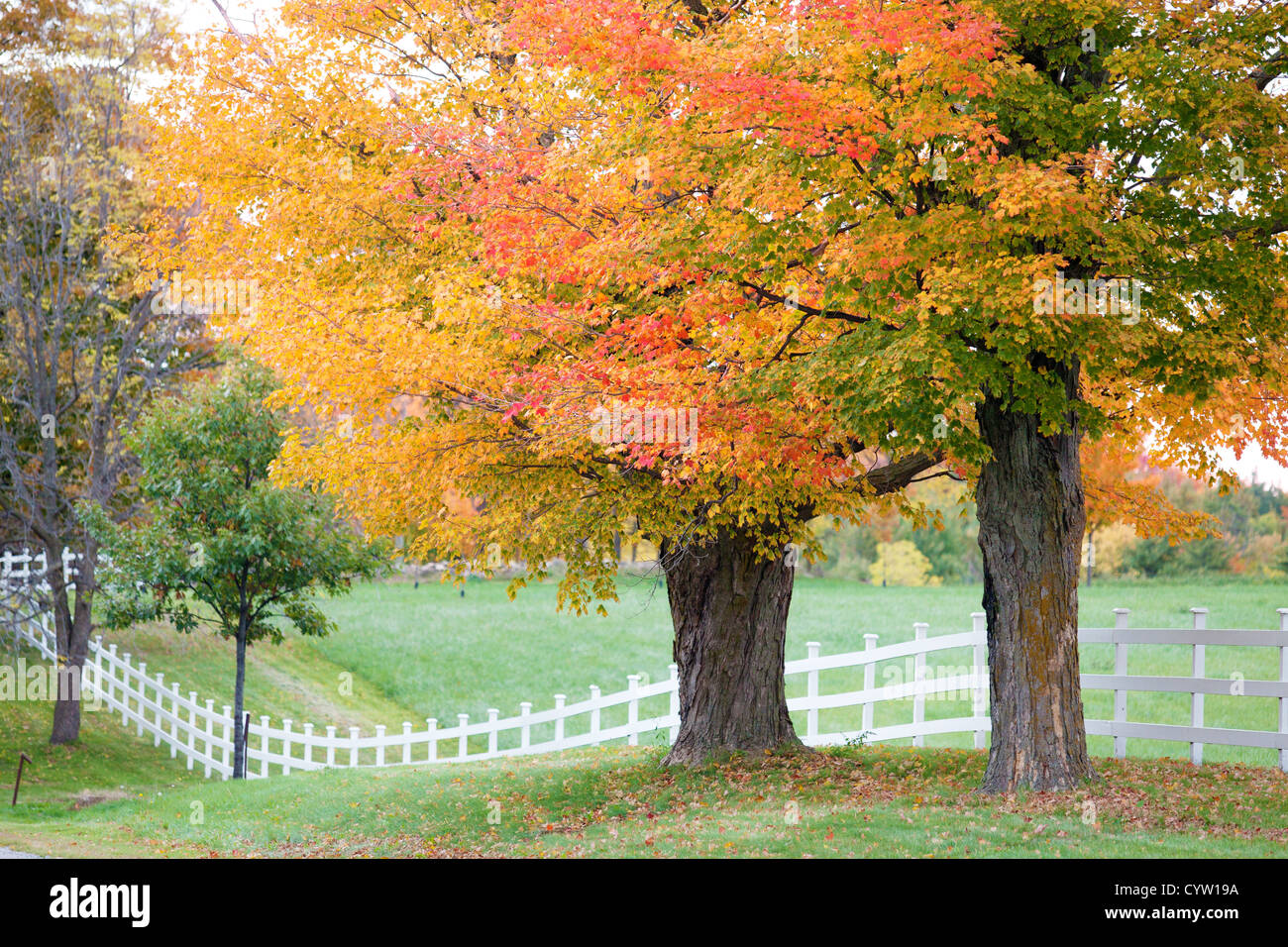 Canadian rural landscape in autumn colors Stock Photo - Alamy