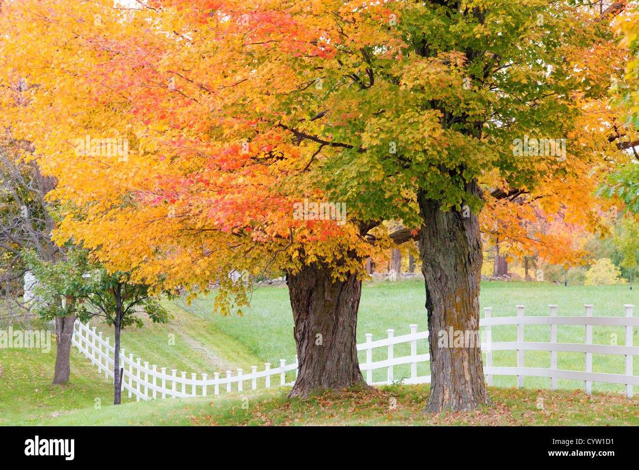 Canadian rural landscape in autumn colors Stock Photo - Alamy