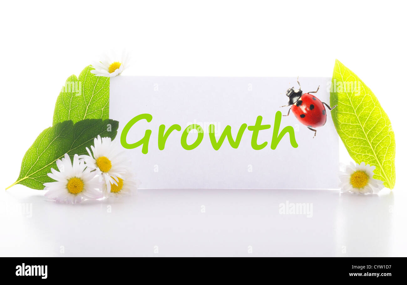 growth concept with word on nature still life Stock Photo - Alamy
