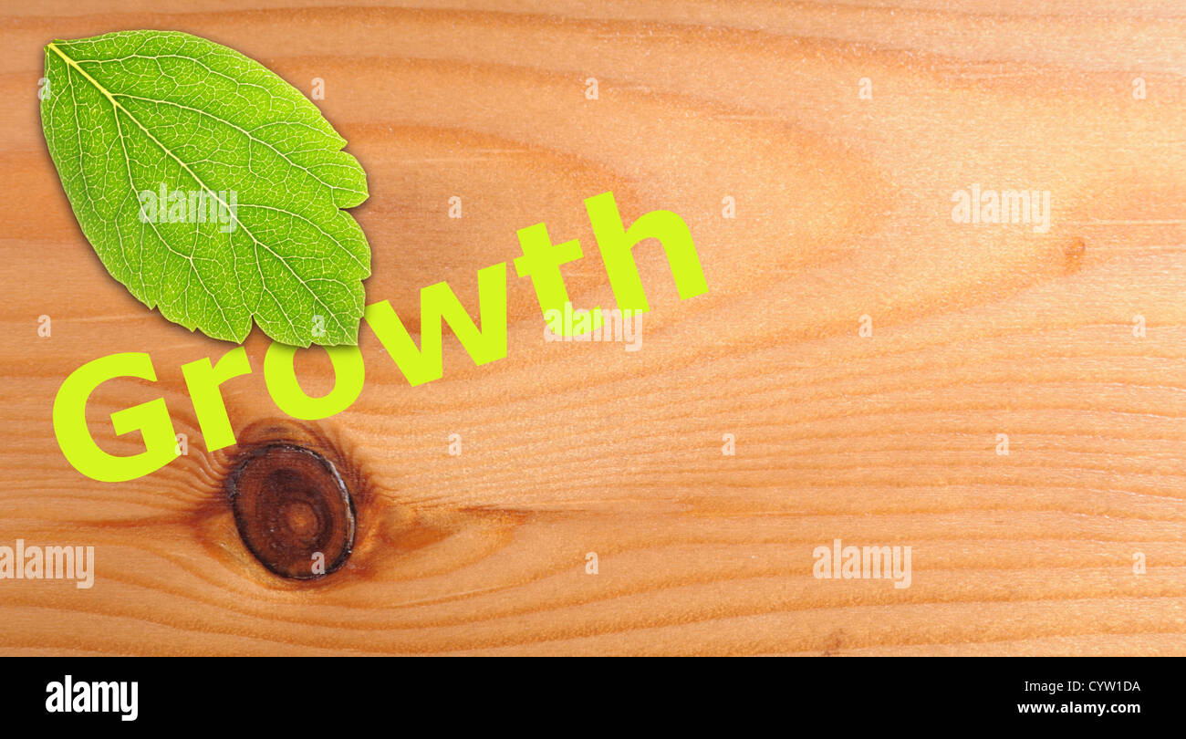 growth concept with word on nature still life Stock Photo - Alamy