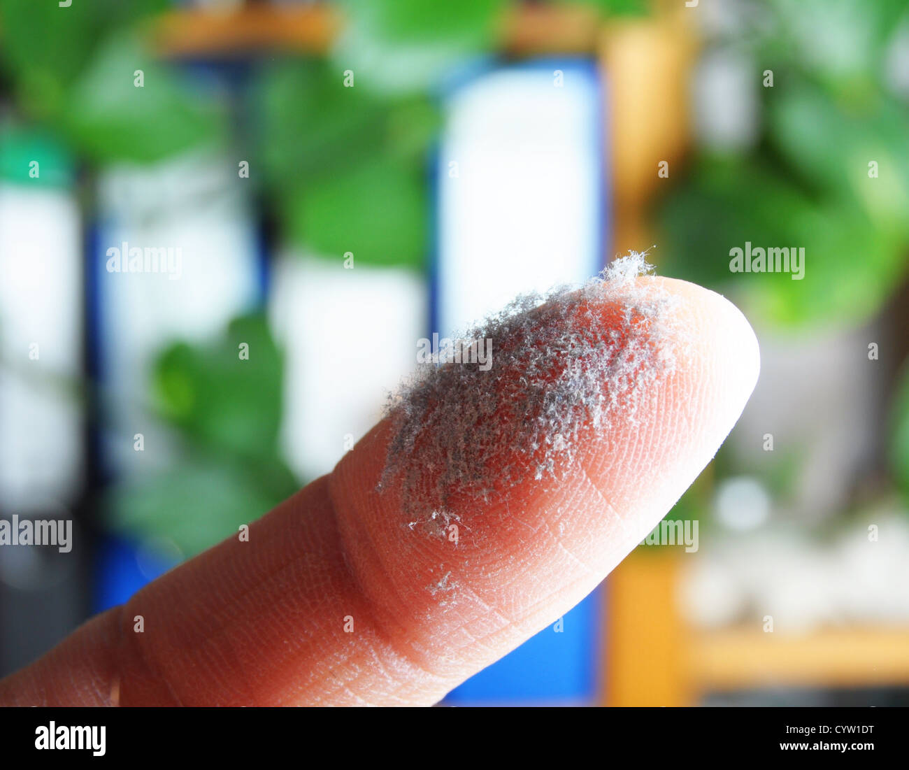 dust and finger showing cleaning concept with bokeh copyspace Stock ...
