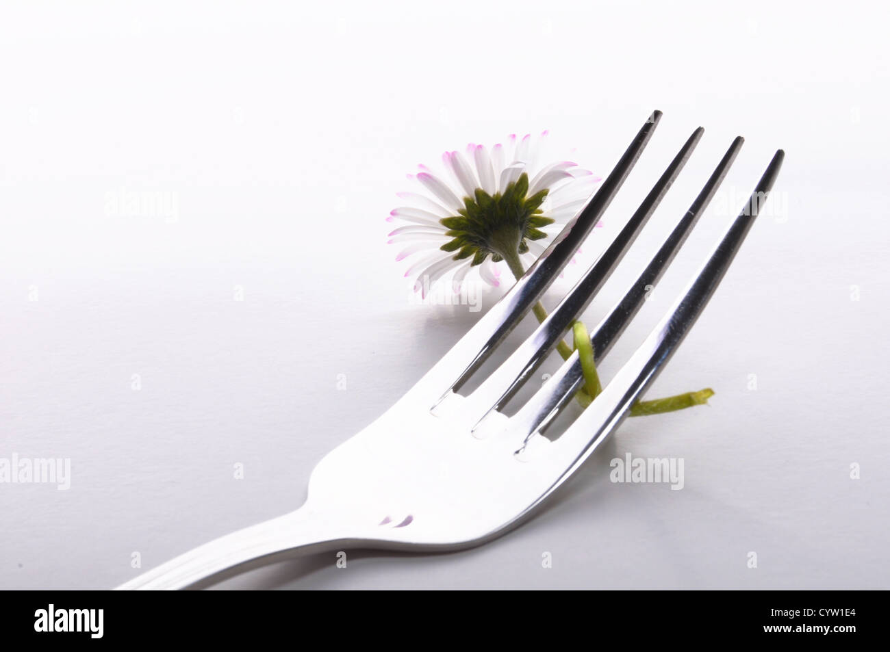 flower and fork isolated on a white background with copyspace showing ...
