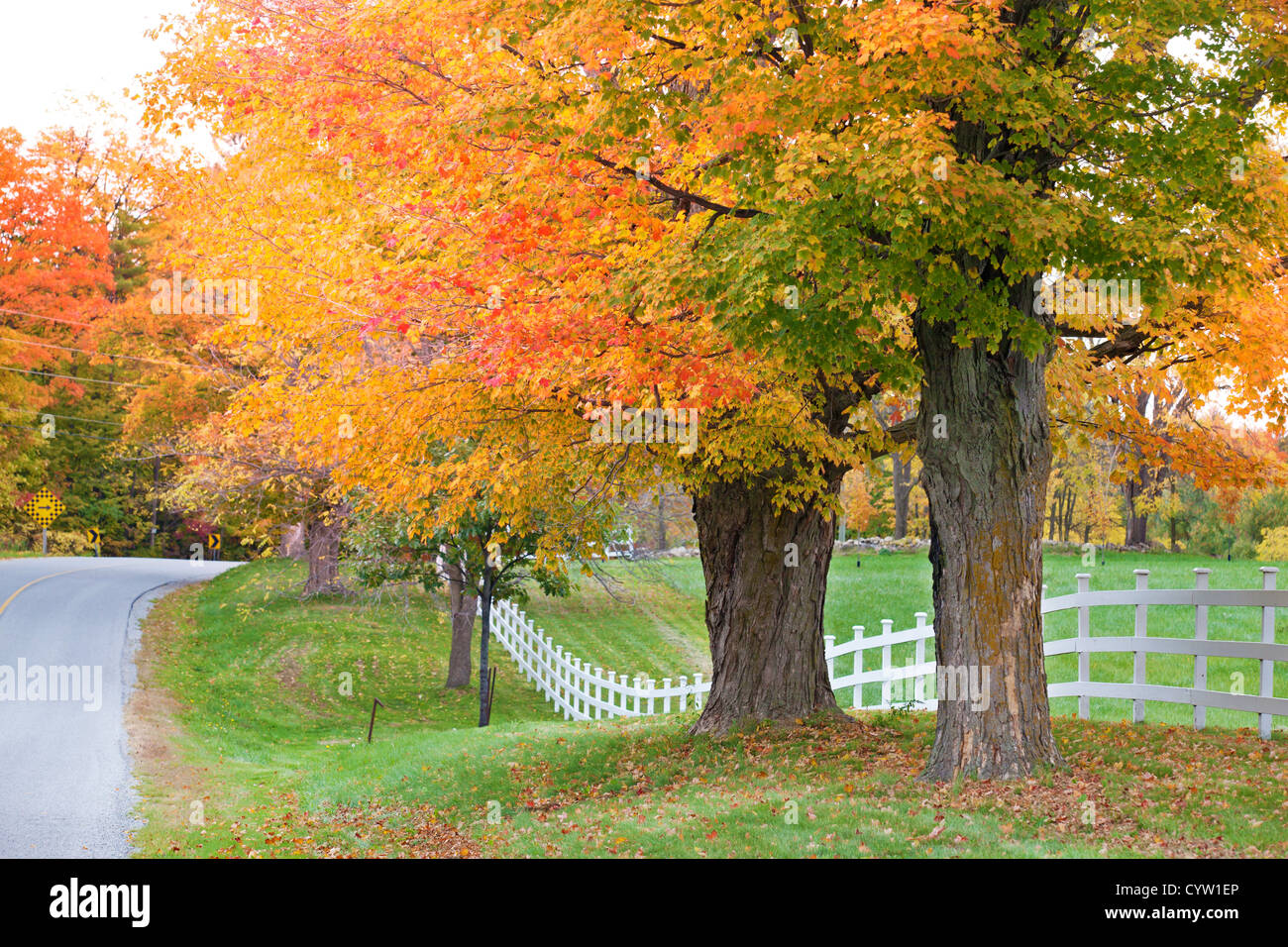 Ontario fall road fence hi-res stock photography and images - Alamy