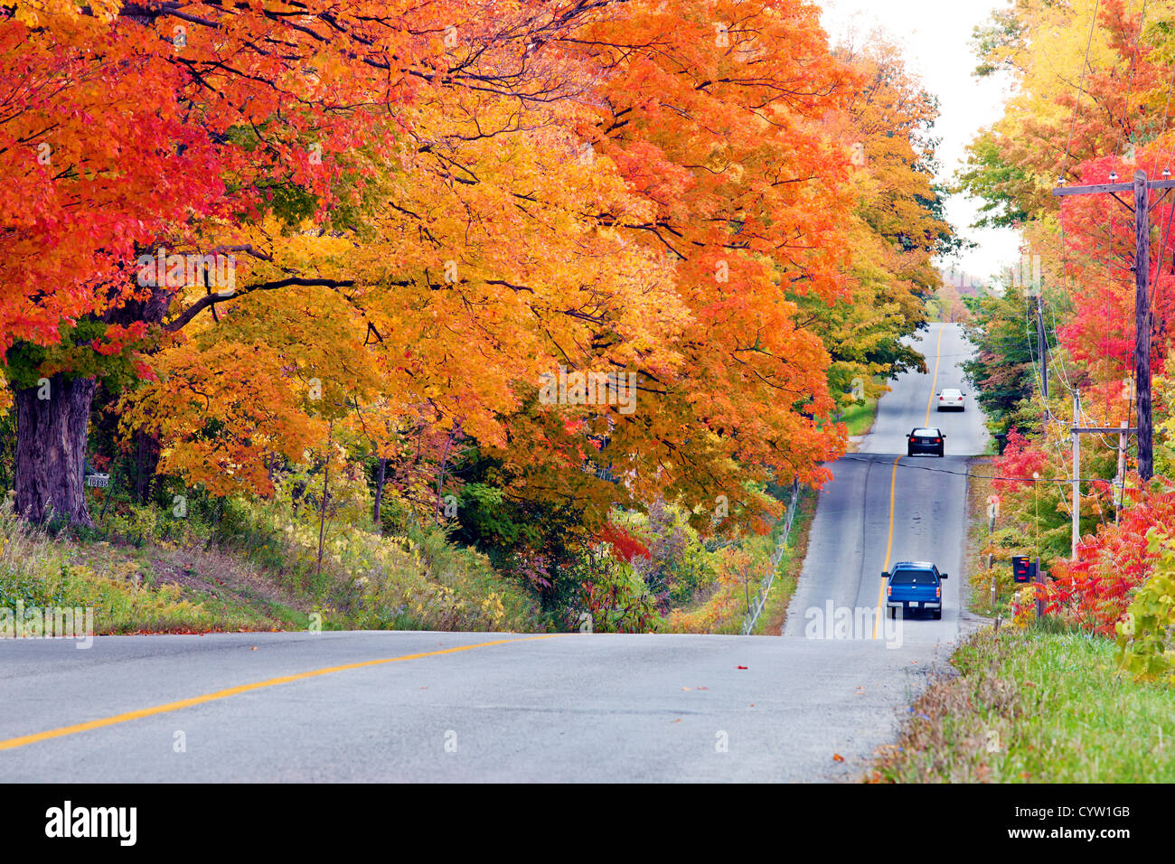 Canadian rural landscape in autumn colors Stock Photo - Alamy