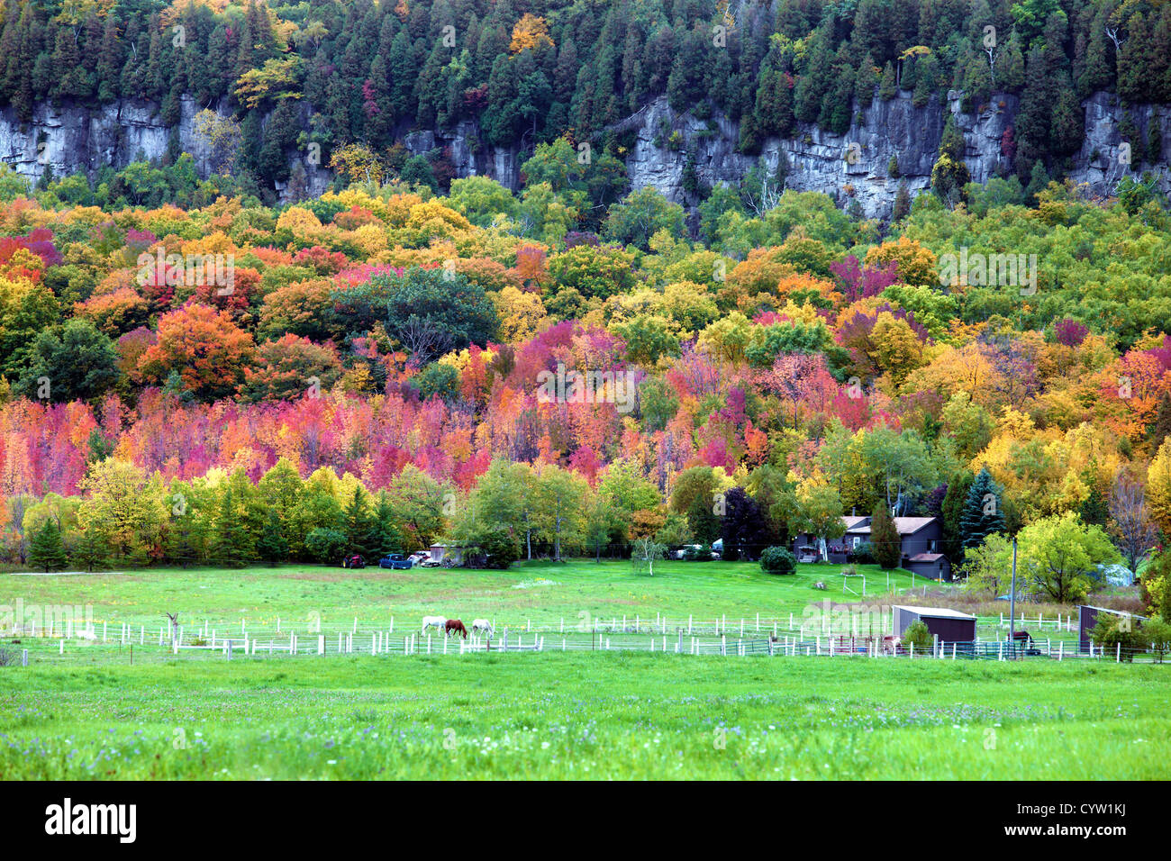 Ontario canada landscape hi-res stock photography and images - Alamy