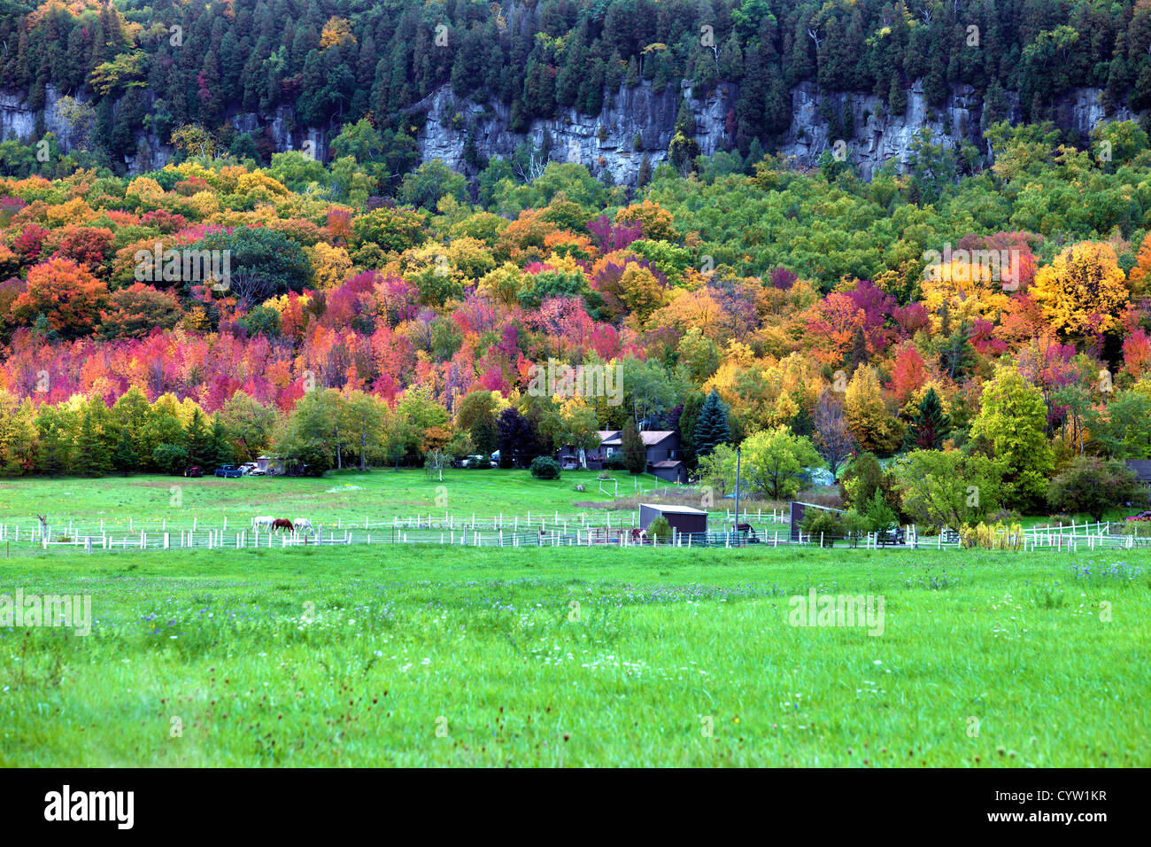 Canadian rural landscape in autumn colors Stock Photo - Alamy
