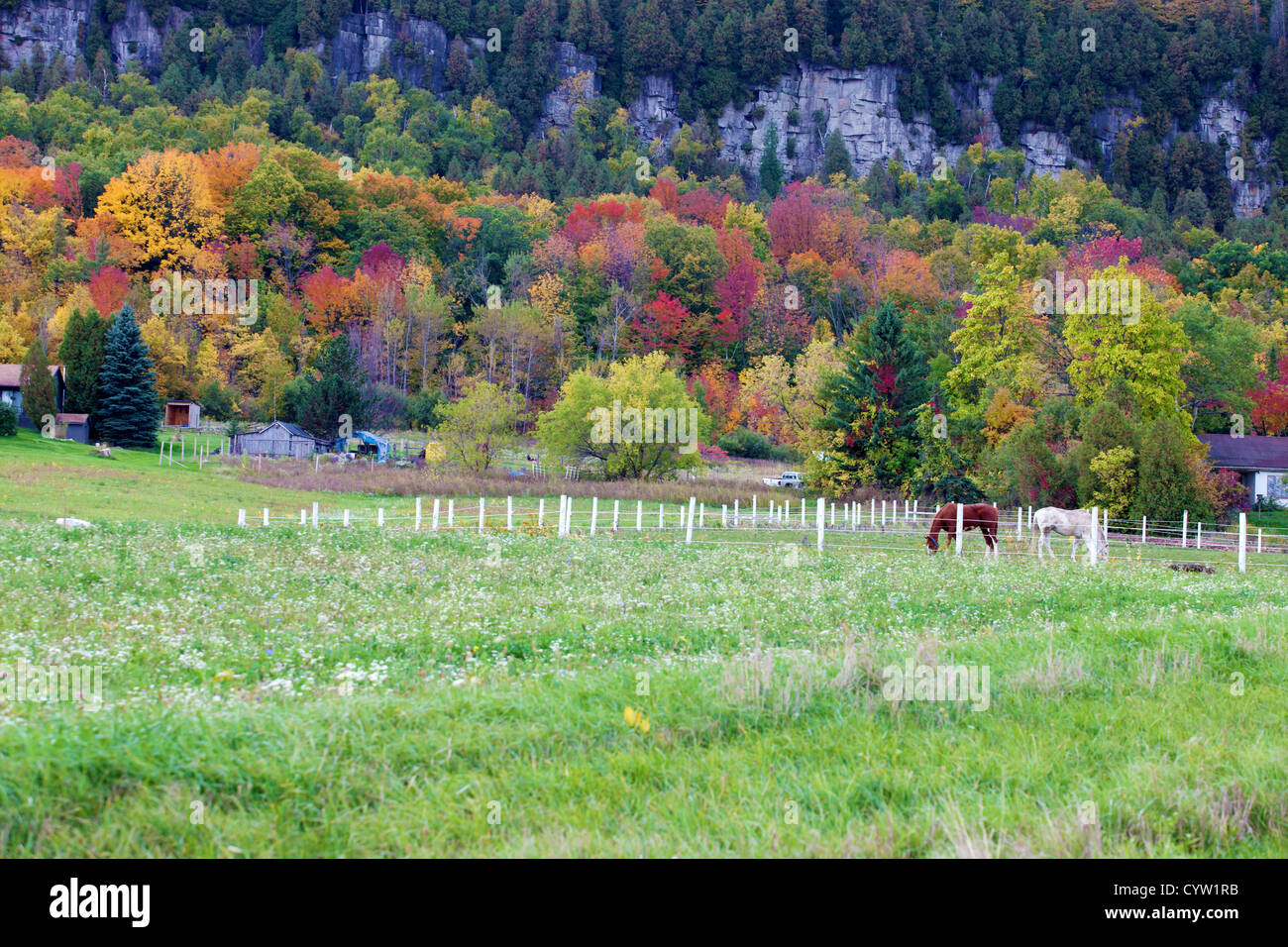 Canadian rural landscape in autumn colors Stock Photo - Alamy