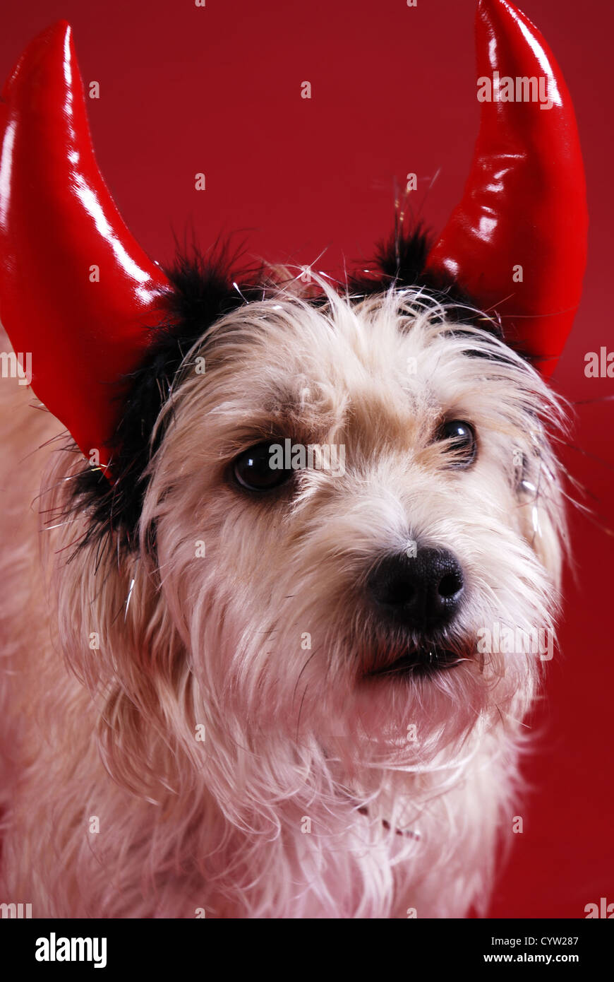 Devil horns hi-res stock photography and images - Alamy
