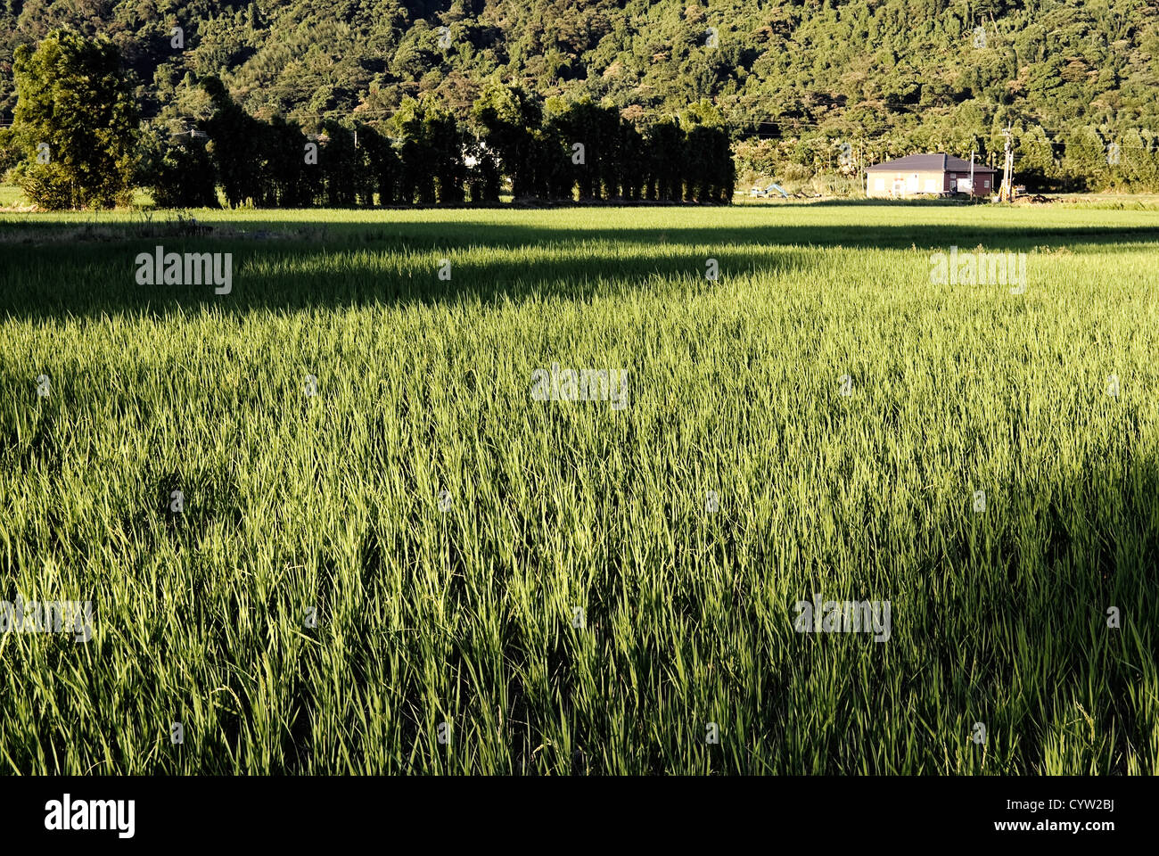 Countryside scenery with farm and house in daytime Stock Photo - Alamy