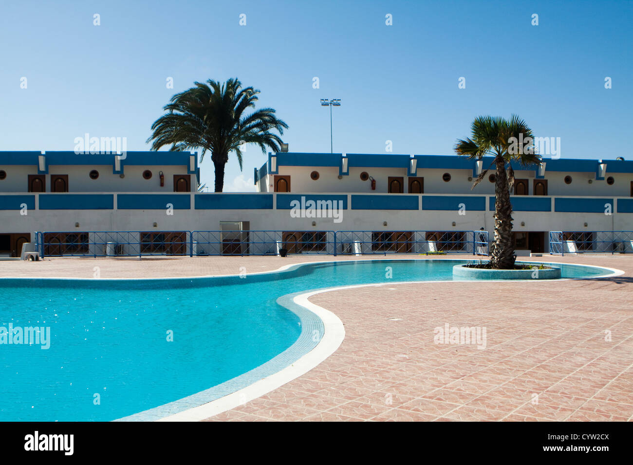 Pool side scenery and palm tree reflex Stock Photo - Alamy