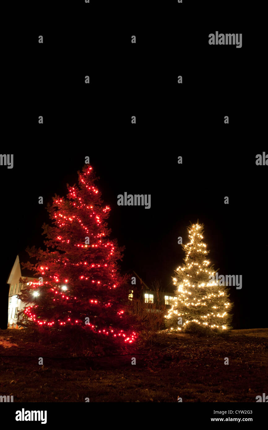 Trees lit up hi-res stock photography and images - Alamy