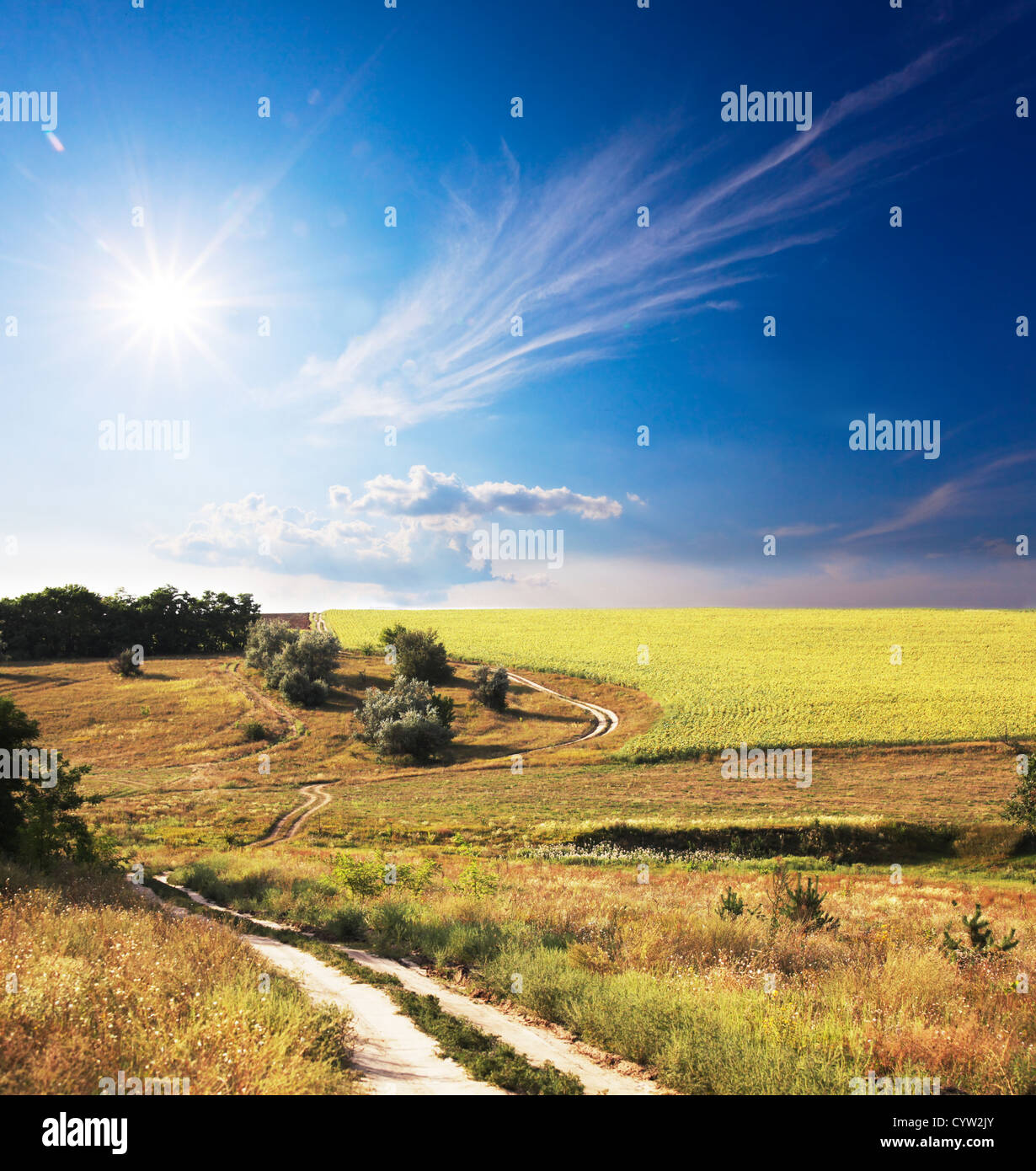 Road in meadows Stock Photo - Alamy