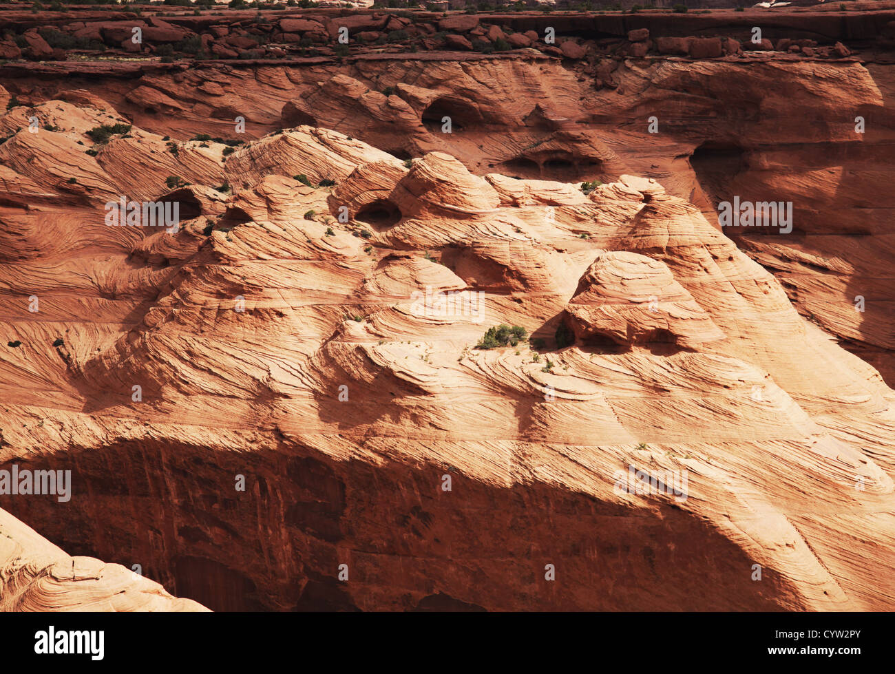 Rocky environment hi-res stock photography and images - Alamy