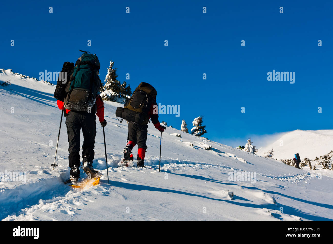 Group hikers walk in hi-res stock photography and images - Alamy