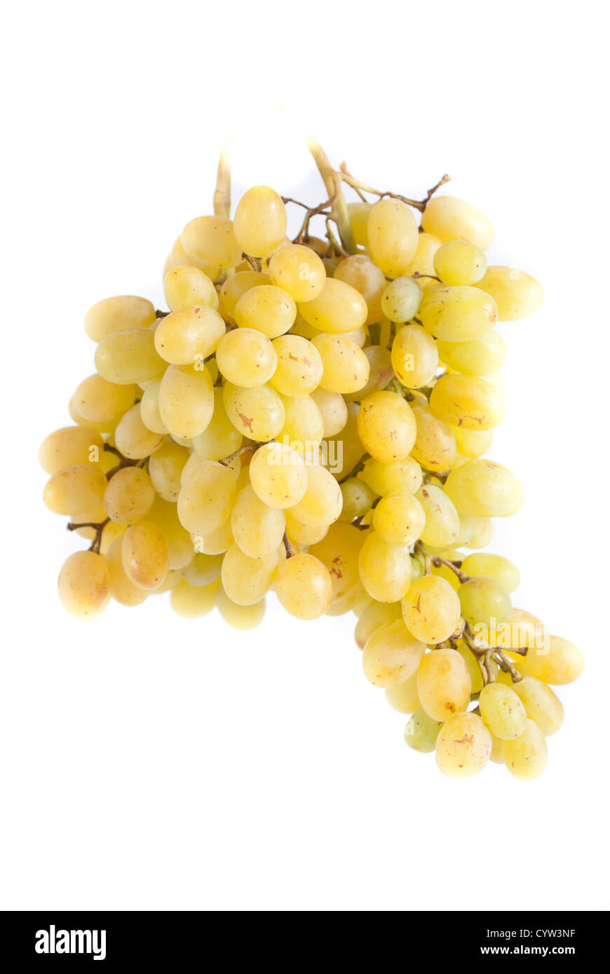 Grapes on a white background Stock Photo - Alamy