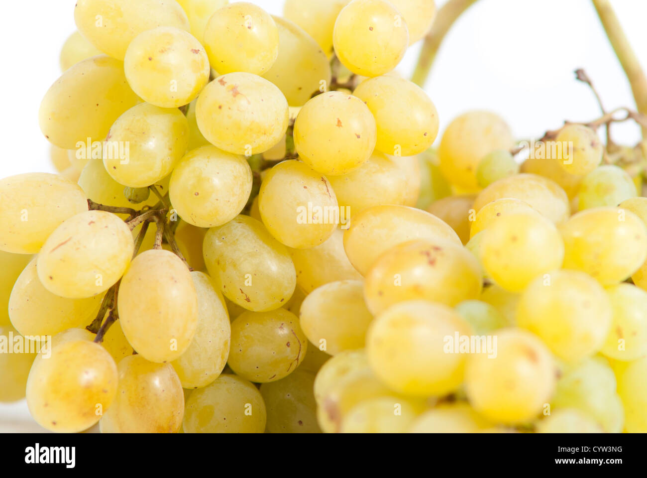 Grapes on a white background Stock Photo - Alamy