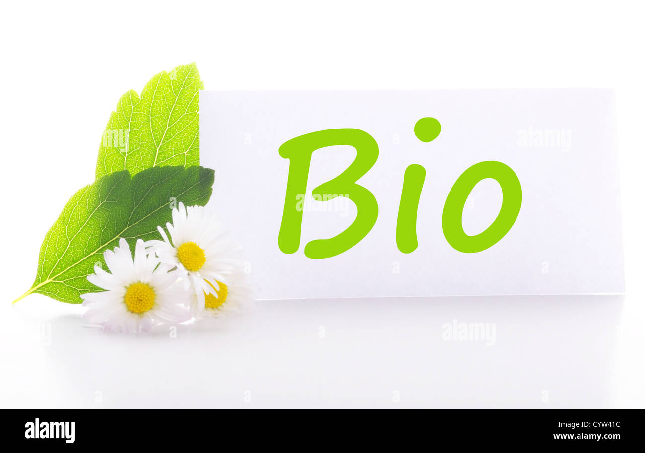 bio concept with word on nature still life Stock Photo - Alamy