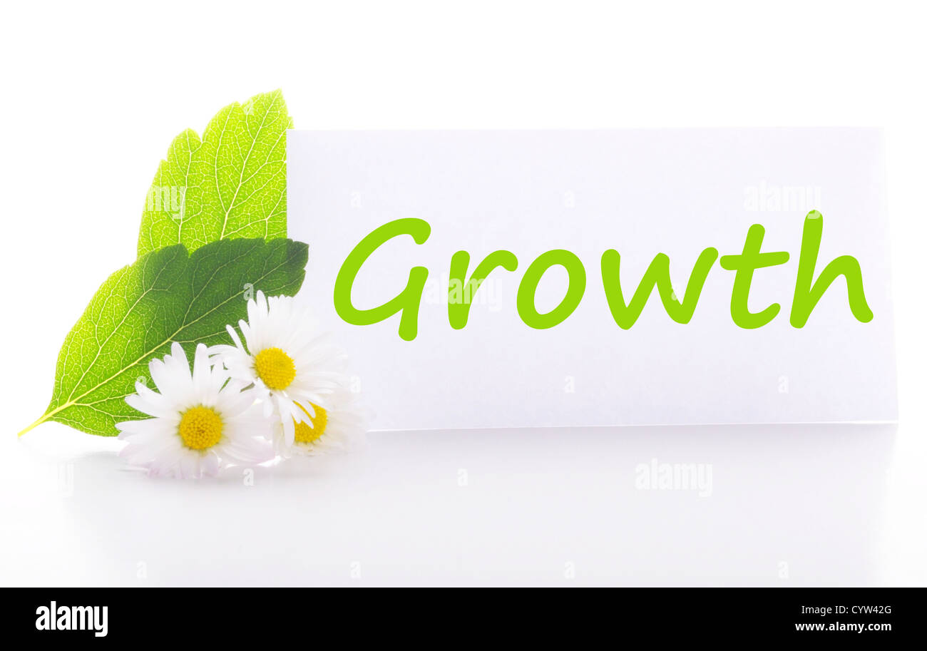 growth concept with word on nature still life Stock Photo - Alamy