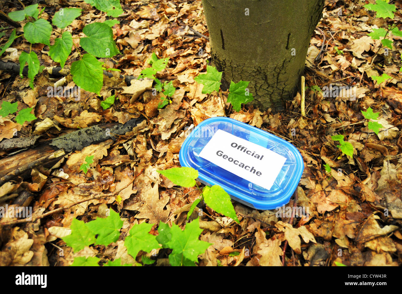 geocaching concept with cache box in nature Stock Photo - Alamy