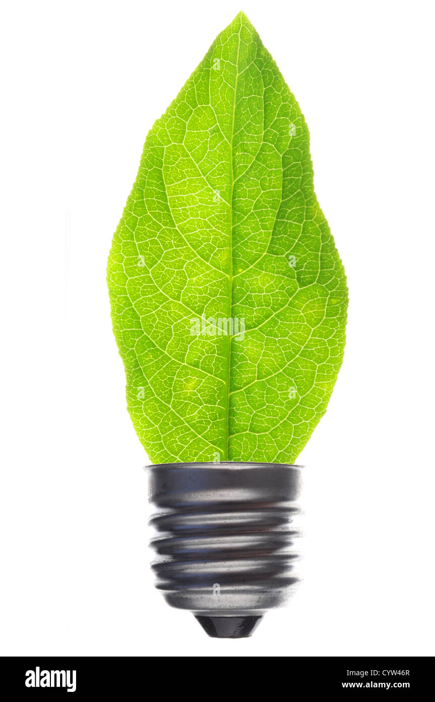 Power leaf Cut Out Stock Images & Pictures - Alamy