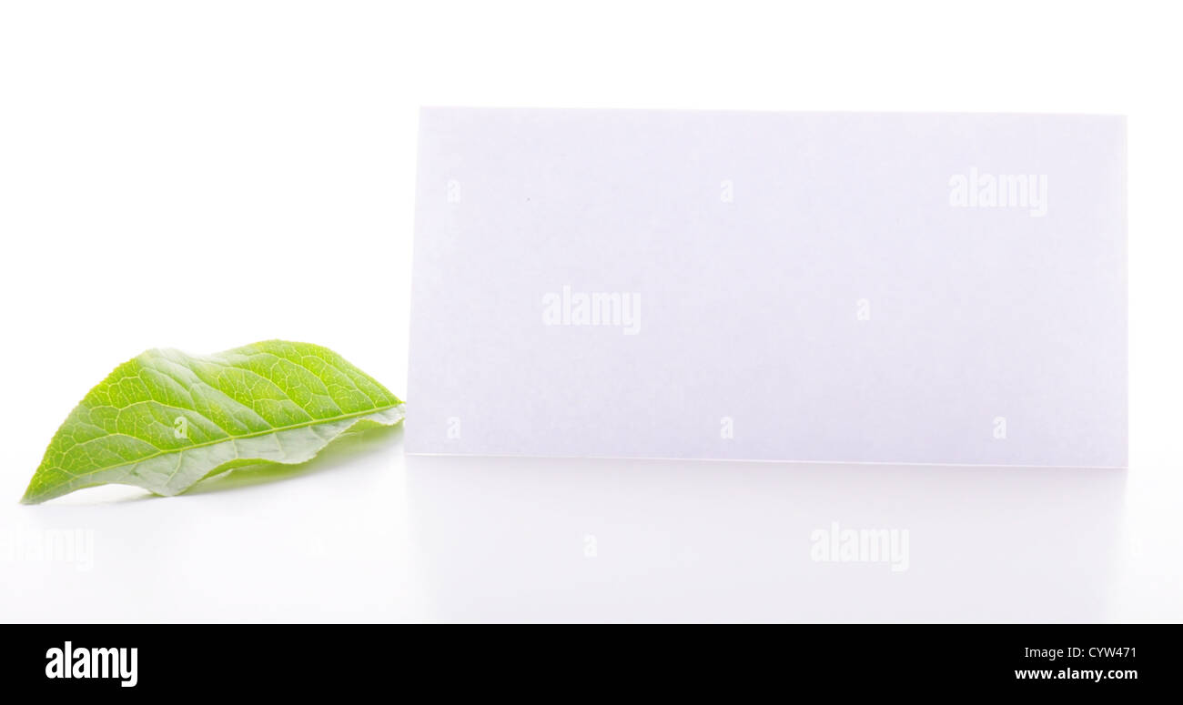 blank or empty sheet of paper with green nature leaf Stock Photo - Alamy