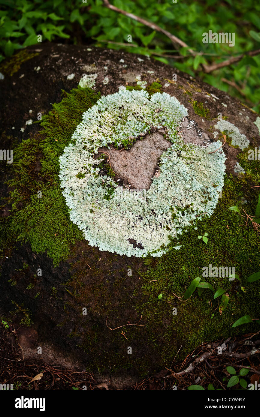 Central heart shape hi-res stock photography and images - Alamy
