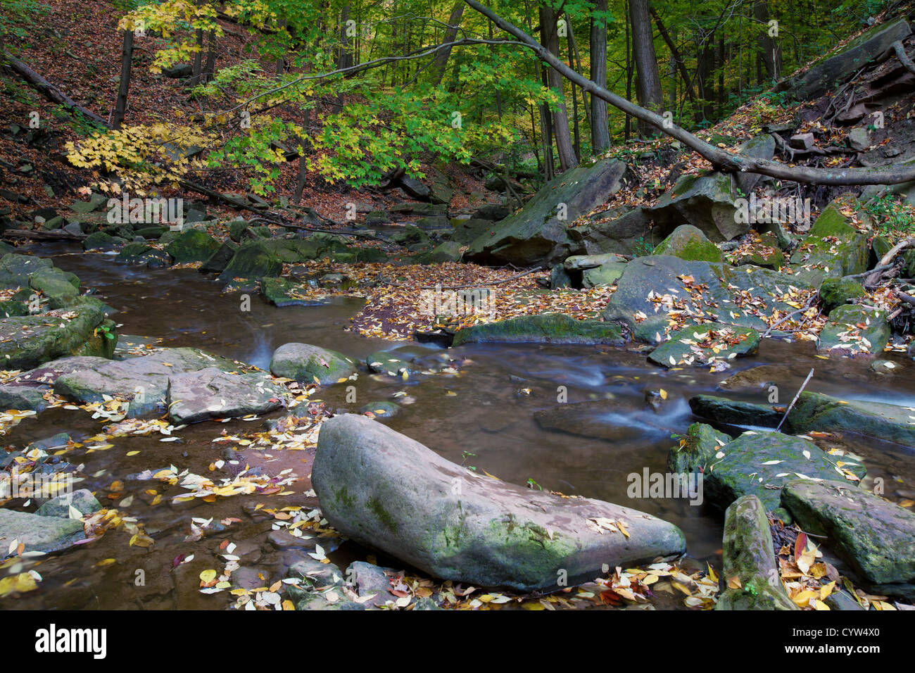 Waterfall in autumn, Hamilton, Ontario, Canada Stock Photo - Alamy
